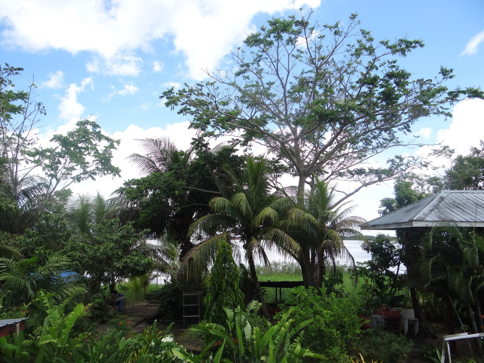 Sutopia Resort Suriname