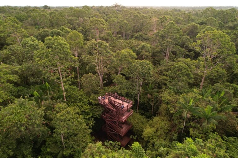 Sutopia Resort Suriname